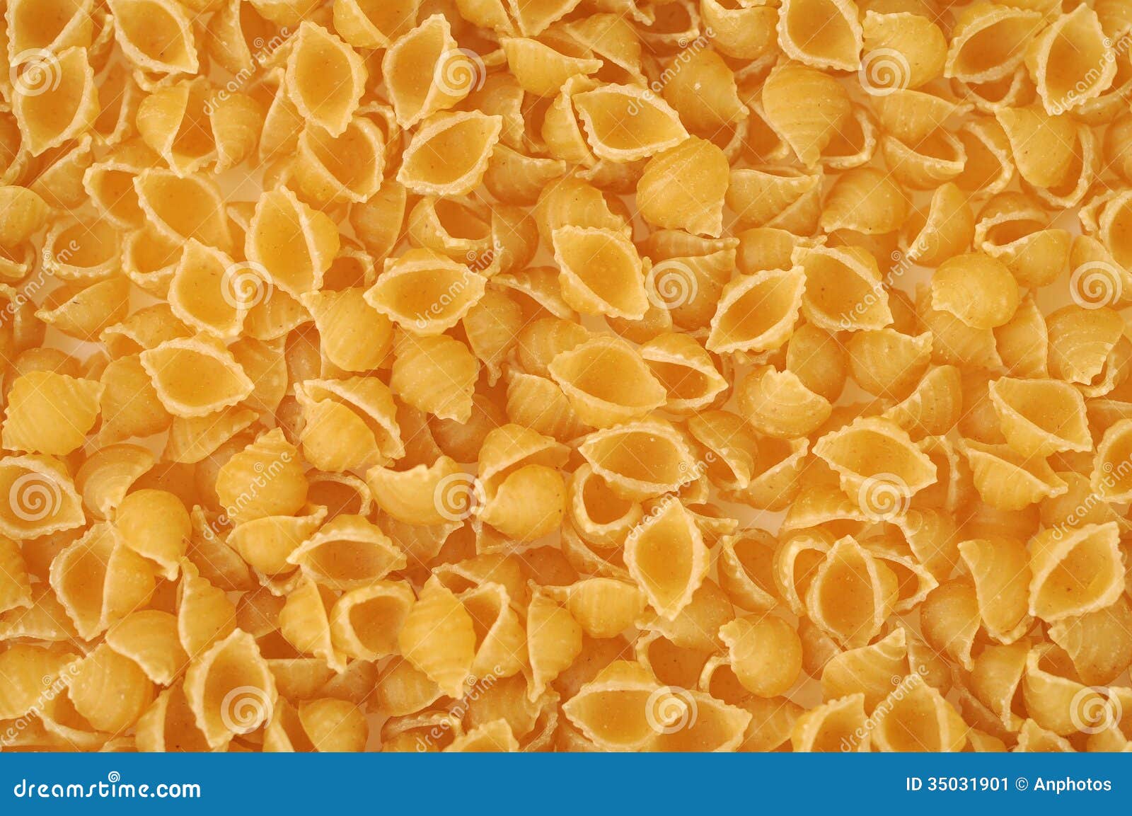 Shell shape pasta stock image. Image of macaroni, close - 35031901