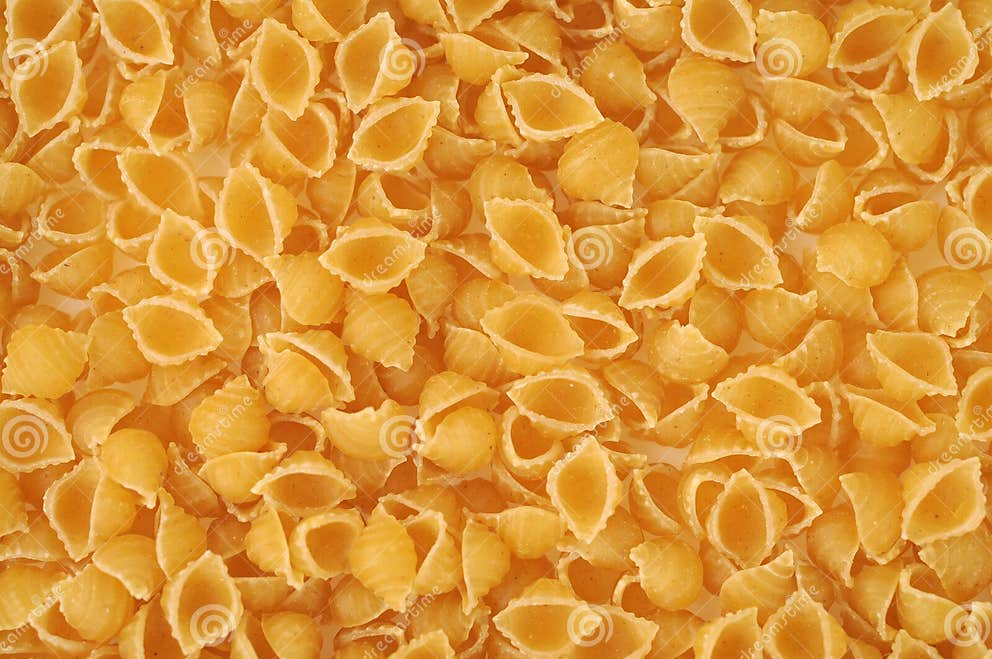 Shell shape pasta stock image. Image of macaroni, close - 35031901