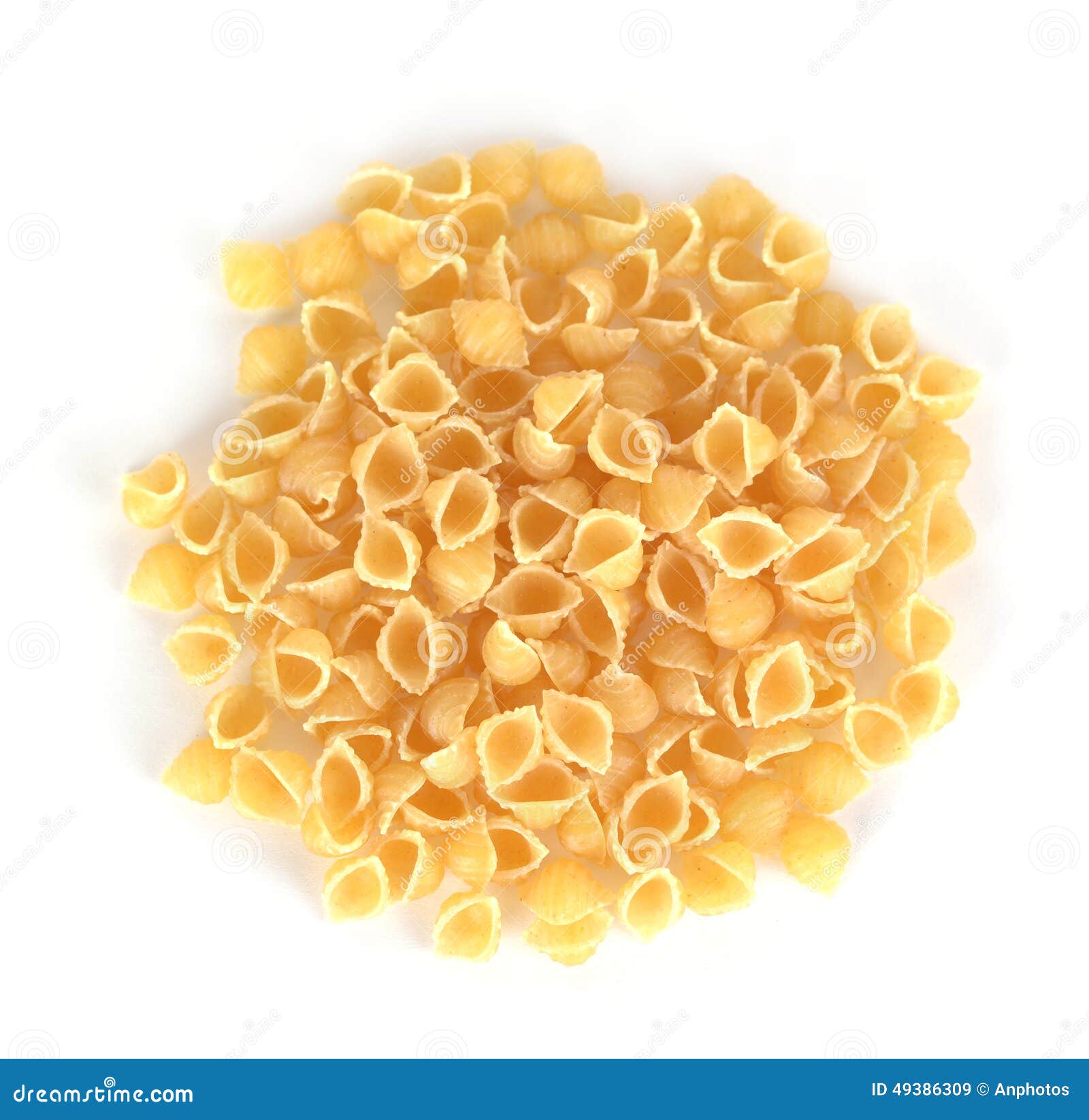 Shell shape pasta stock image. Image of healthy, serving - 49386309