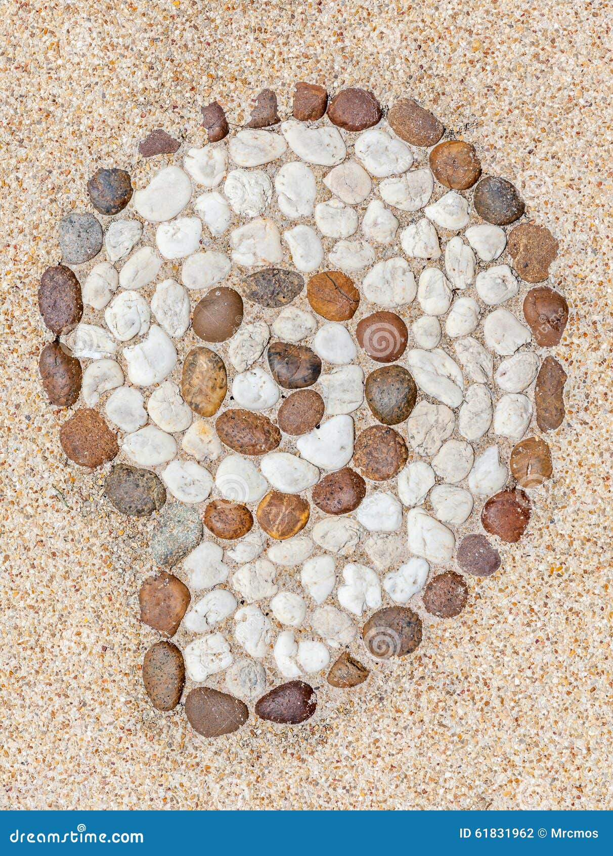 Shell Shape Stone Decorated on Gravel Floor Texture. Stock Photo ...