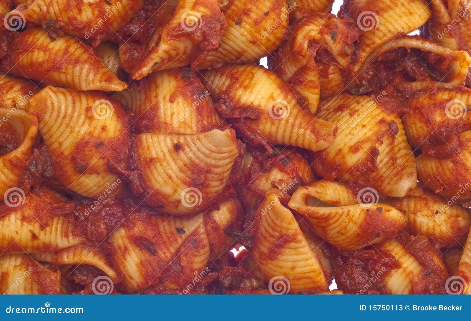 Shell Shaped Pasta and Red Sauce Stock Image - Image of dinner, sauce ...
