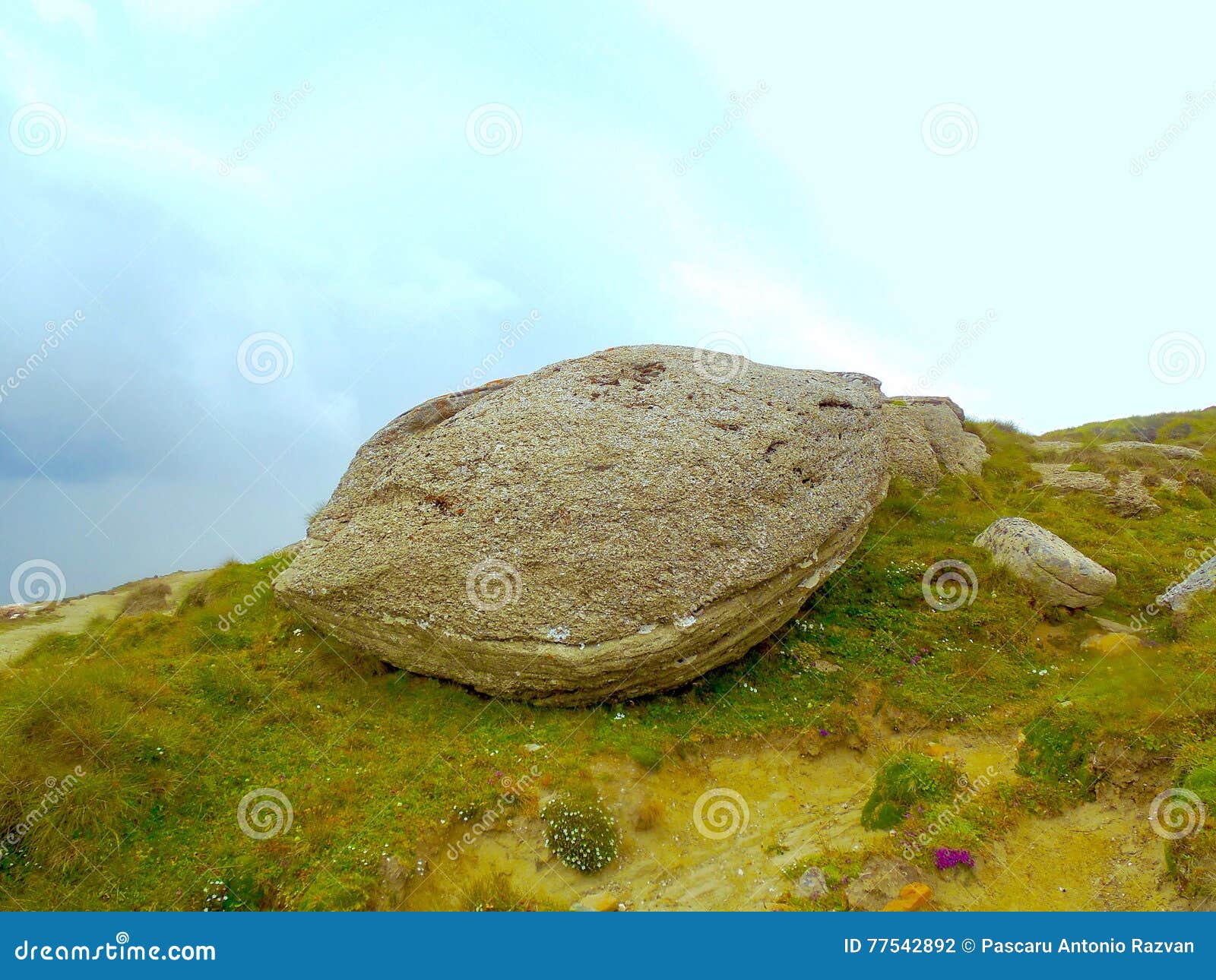 Shell shaped stone stock photo. Image of rock, shaped - 77542892