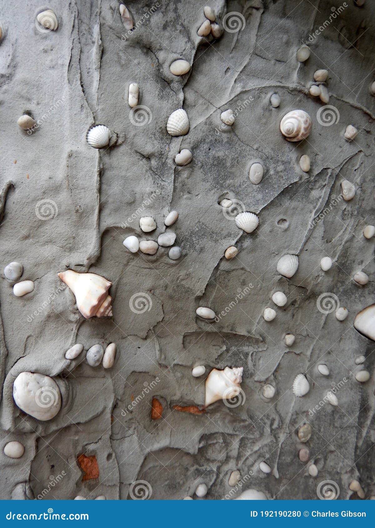 Shell Shocked US Marine - Vietnam War Stock Photo | CartoonDealer.com ...