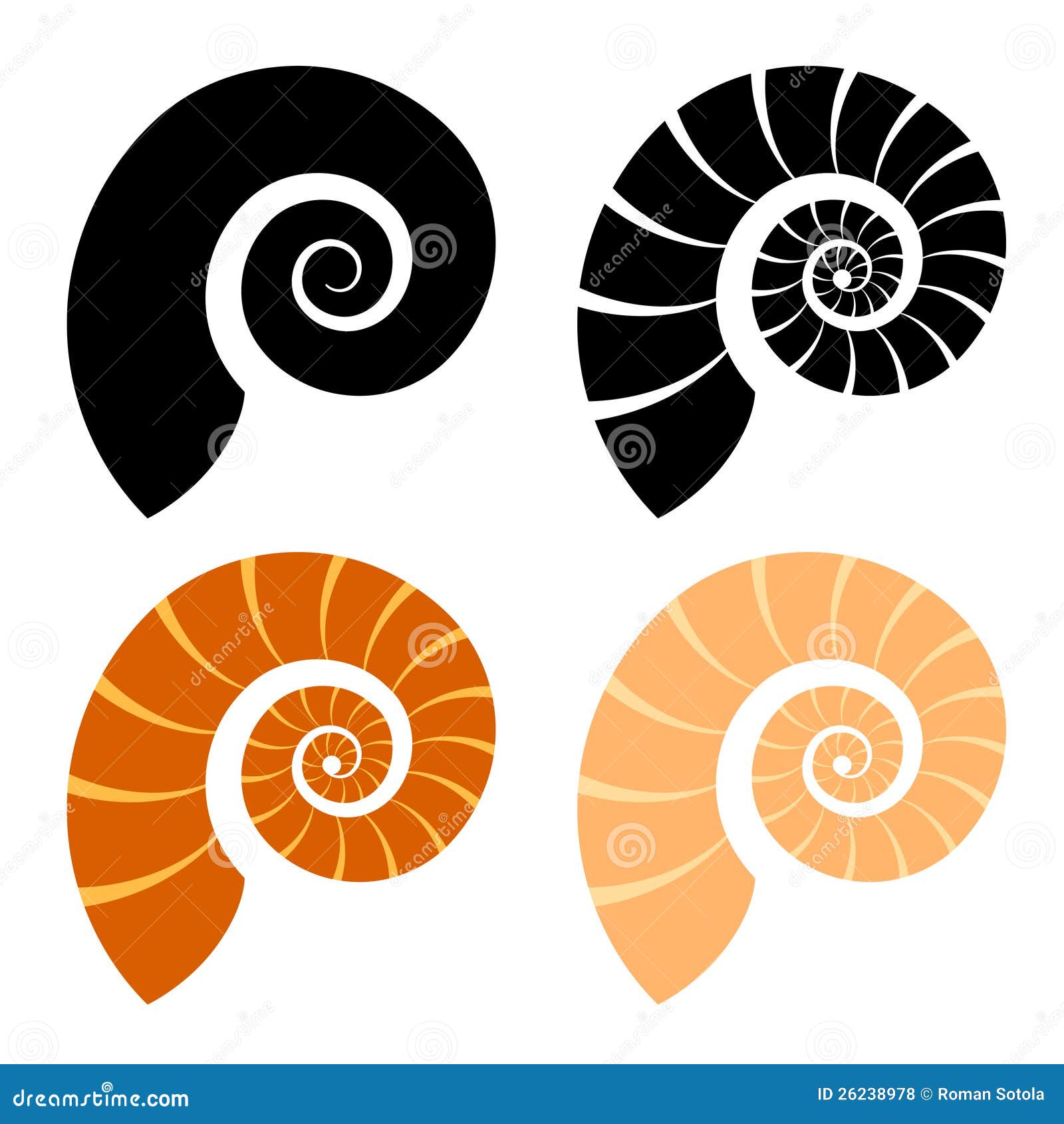 Shell silhouette stock vector. Illustration of nature - 26238978