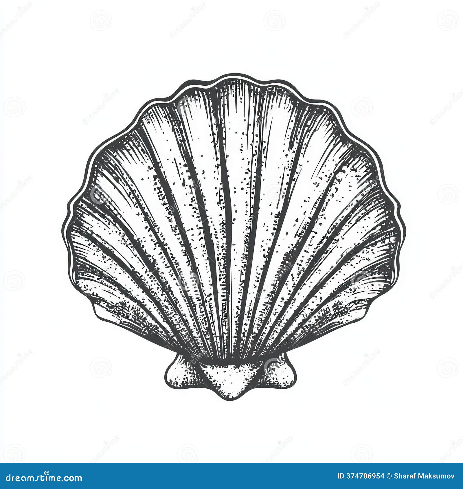 Shell Silhouette , Black And White Illustration Isolated On White ...