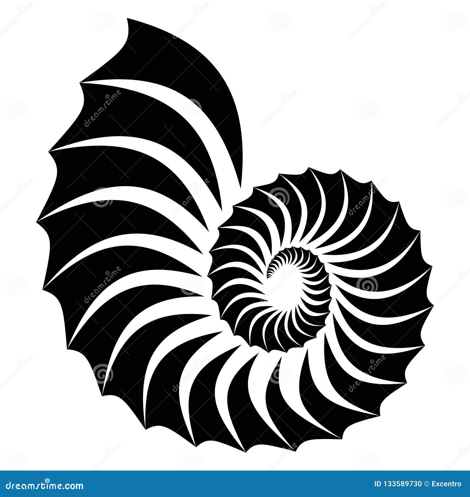 Shell Silhouette , Black And White Illustration Isolated On White ...