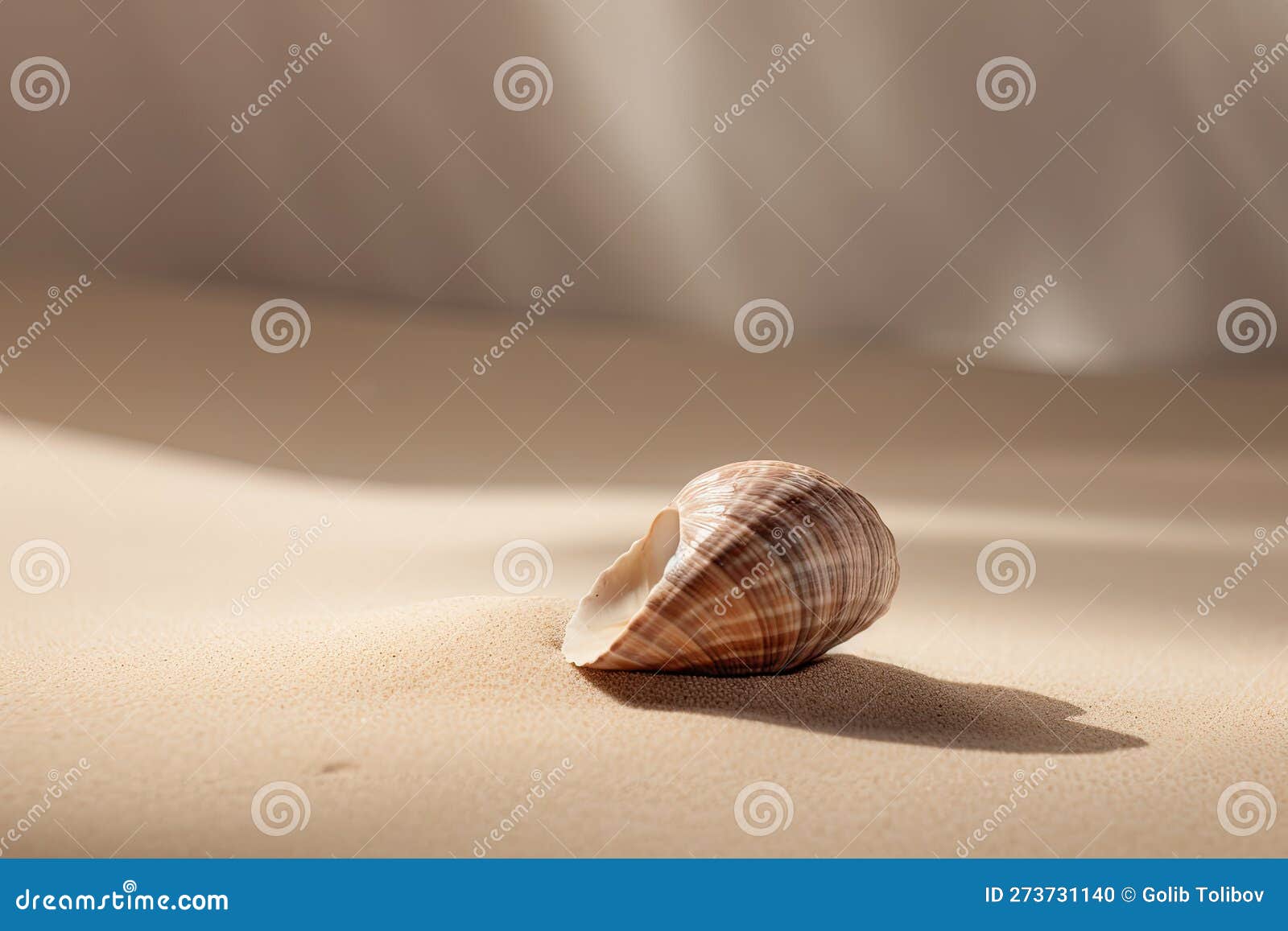A Shell Sitting on the Sand on the Beach. Generative AI Stock ...