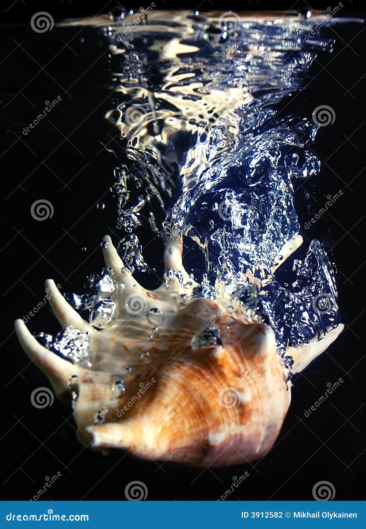 Shell splash stock photo. Image of fall, dive, bottom - 3912582