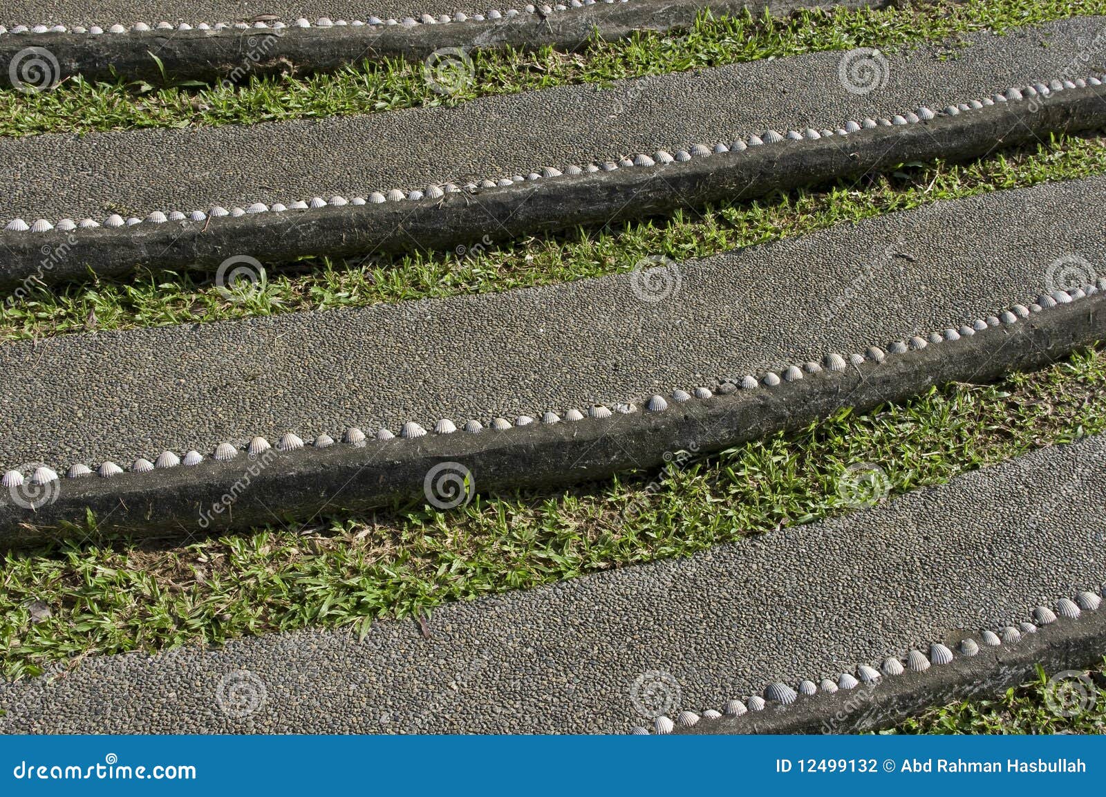 Shell staircase stock photo. Image of green, staircase - 12499132