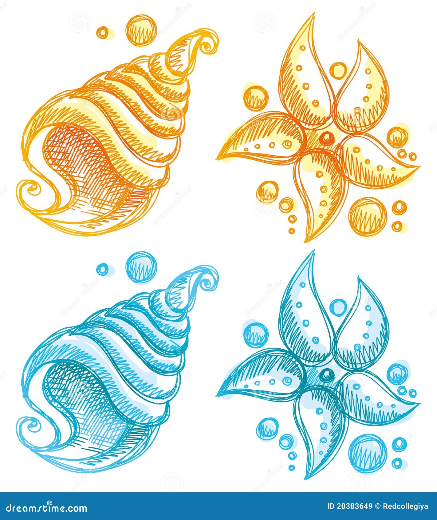 Shell and starfish stock vector. Illustration of starfish - 20383649