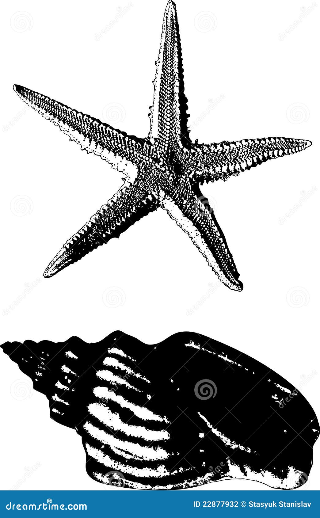 Shell and starfish stock vector. Illustration of seashore - 22877932