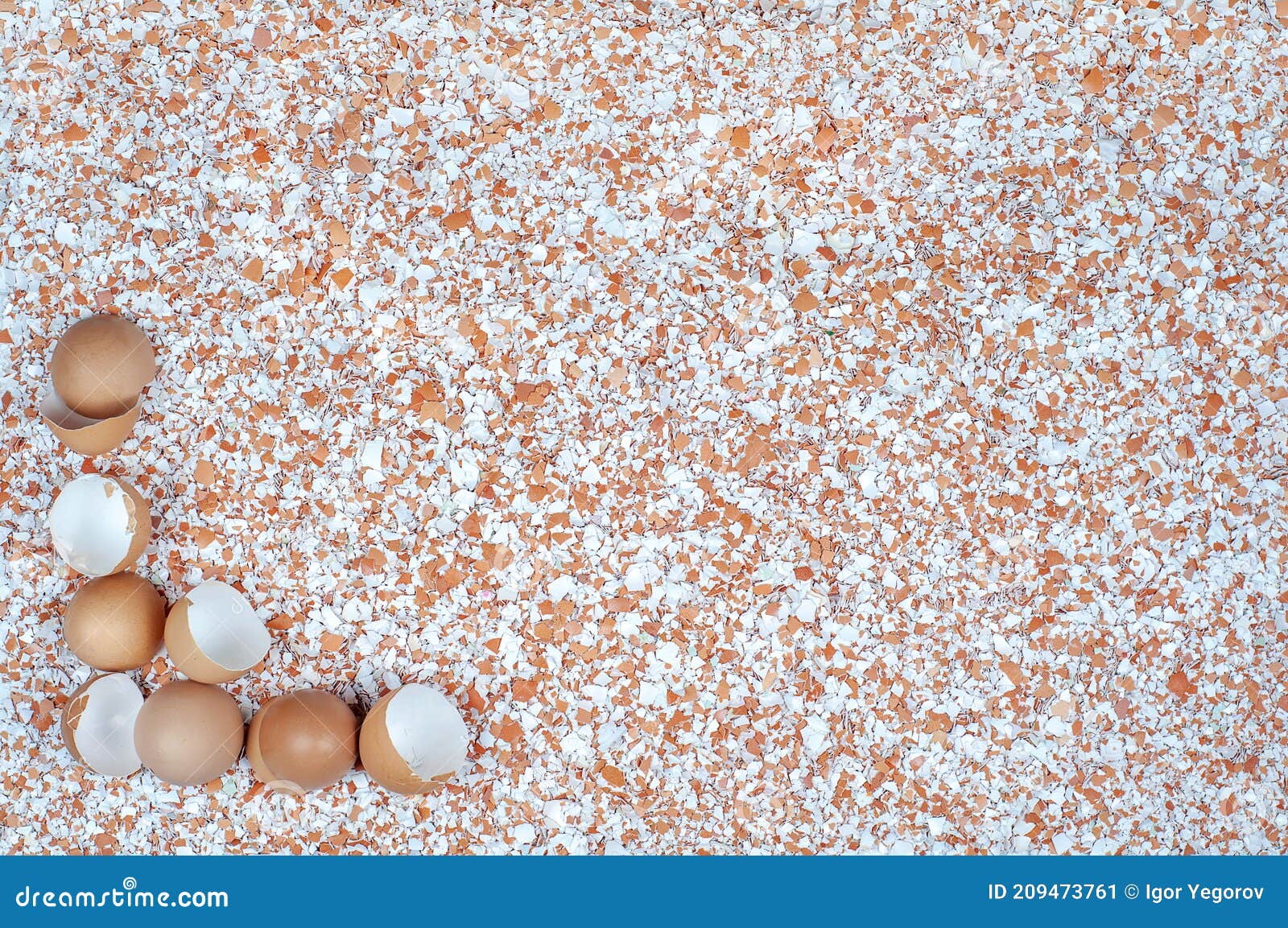 Grounded Eggshell Background With Abstract White And Brown Texture ...