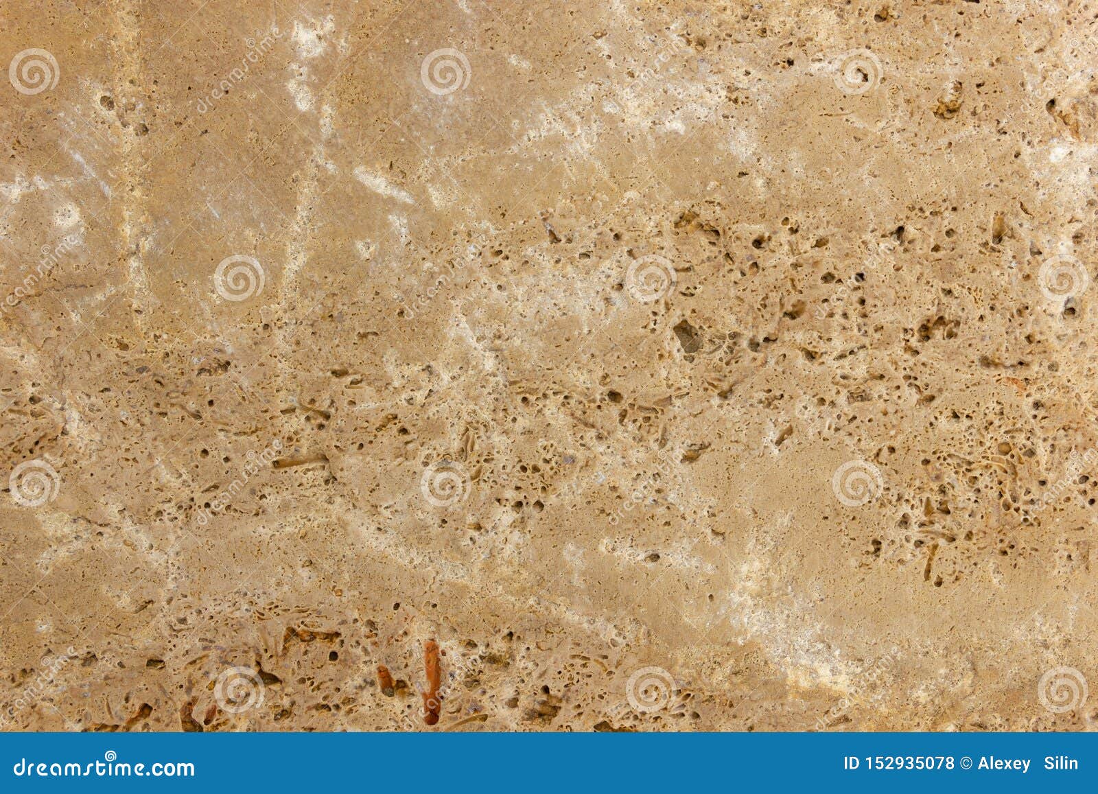 Shell Stone Texture, Closeup Stock Photo - Image of abstract, floor ...