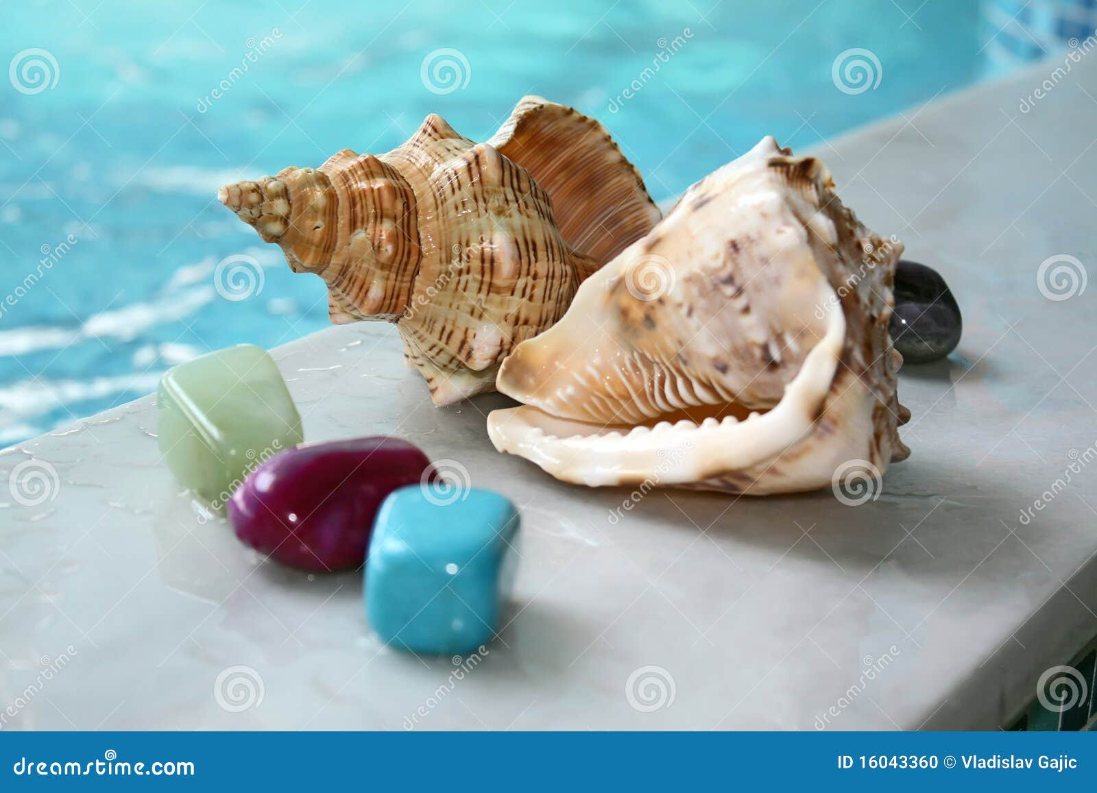 Shell and stones stock photo. Image of relax, liquid - 16043360