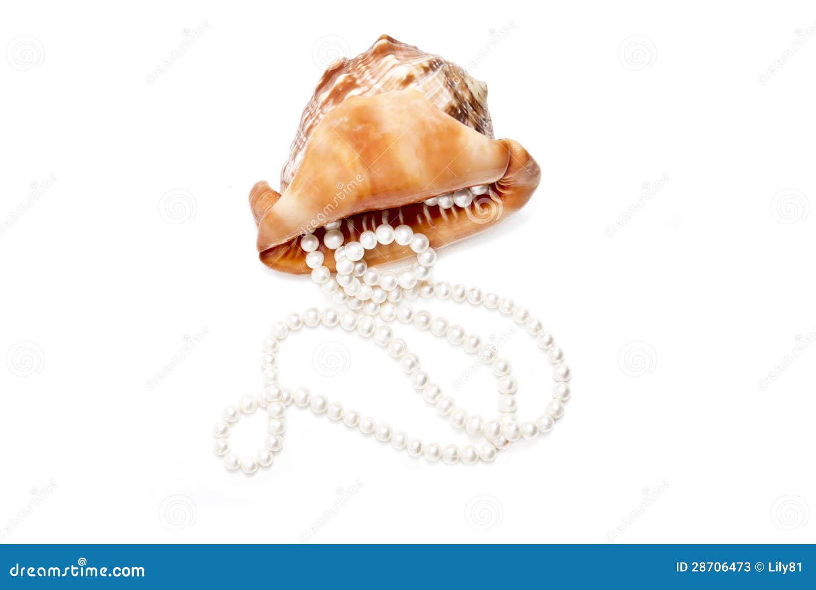 Shell and a String of Pearls Stock Image - Image of jewelry, pile: 28706473