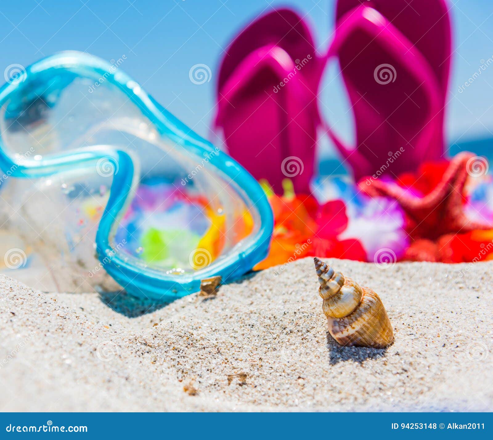 Shell Stuck in the Sand foto de archivo. Imagen de azul - 94253148
