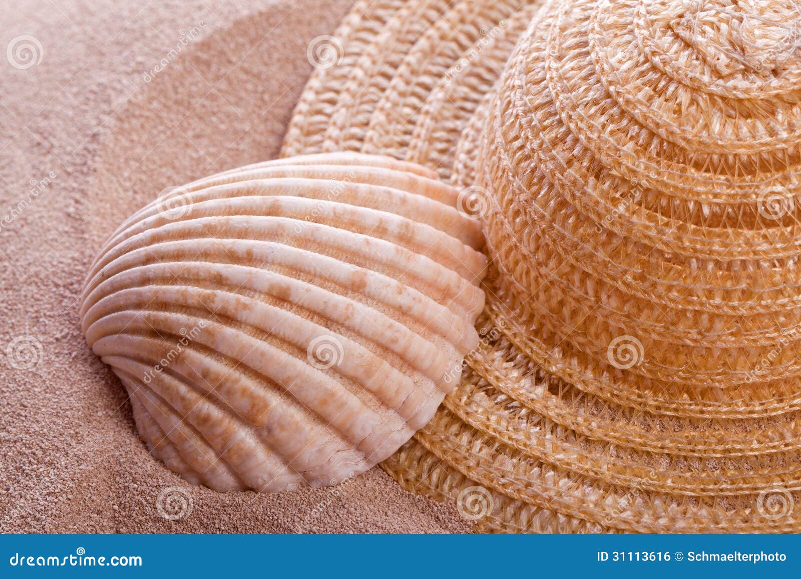 Shell and sun hat stock photo. Image of shell, ocean - 31113616