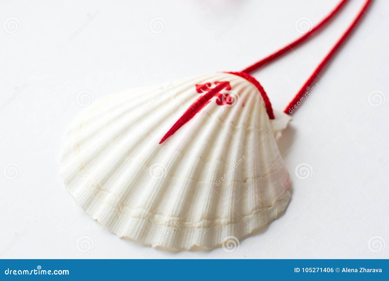 Shell Symbol From Camino De Santiago, Galicia Stock Photography ...