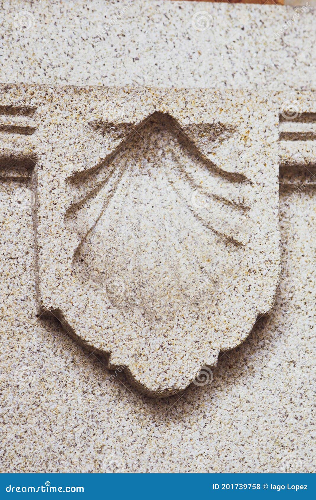 Shell Symbol of the Way of St James Engraved in Stone Stock Photo ...
