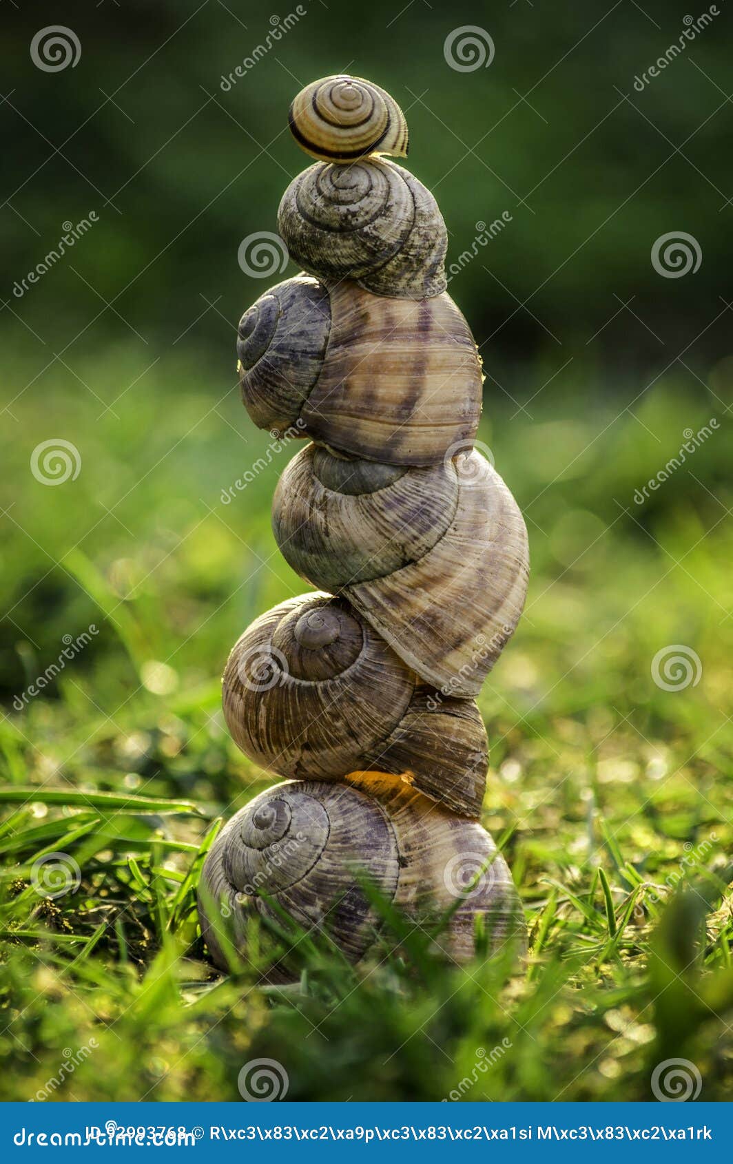 Shell Tower An This Royalty-Free Stock Image | CartoonDealer.com #218437198