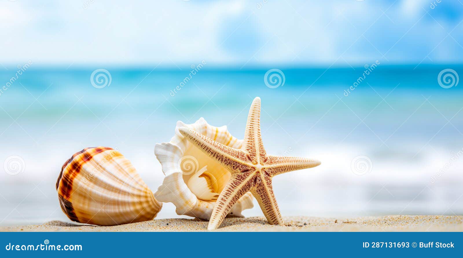 Starfish and Seashells at the Beach Stock Illustration - Illustration ...