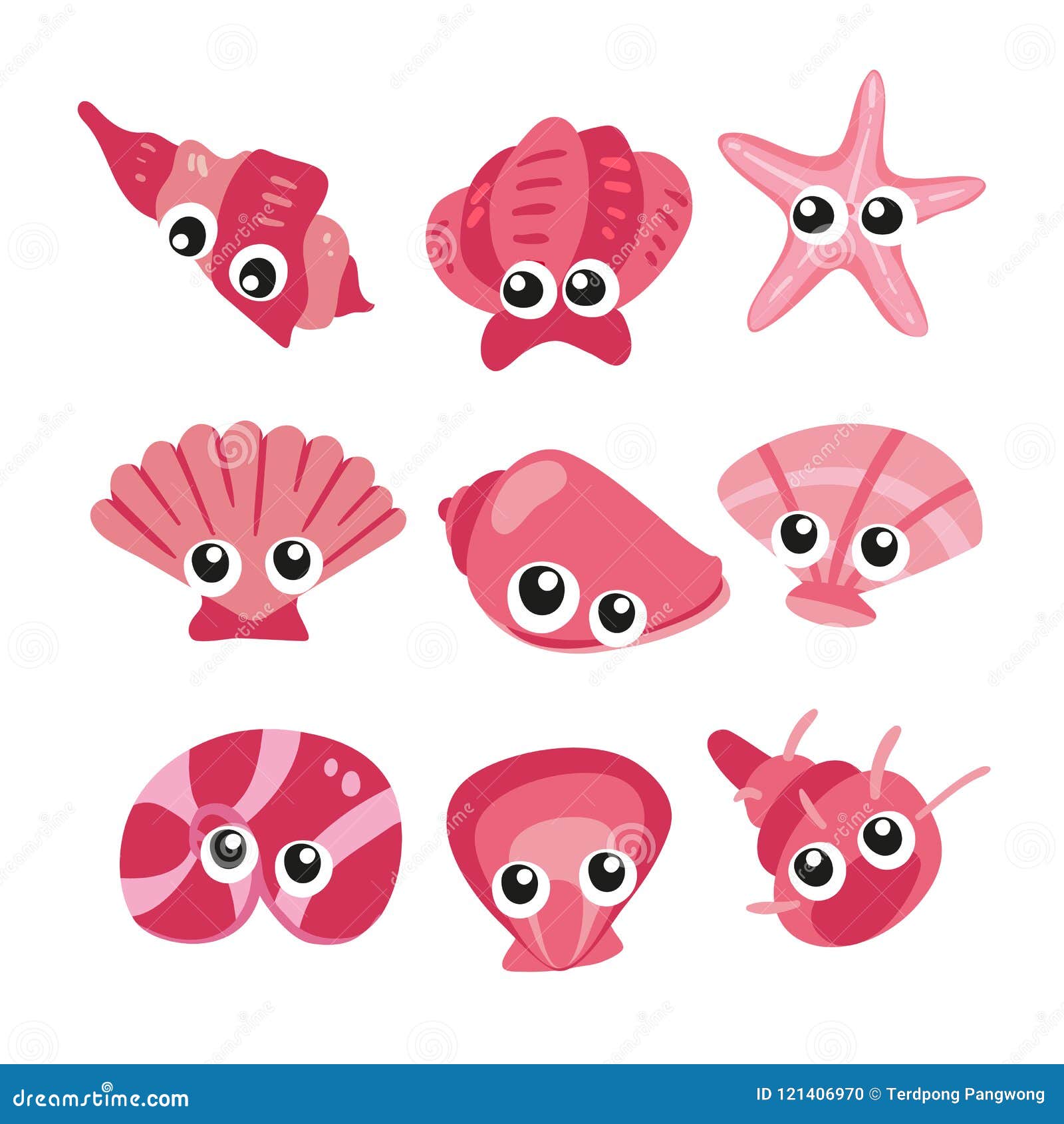 Shell Vector Collection Design Stock Vector - Illustration of isolate ...