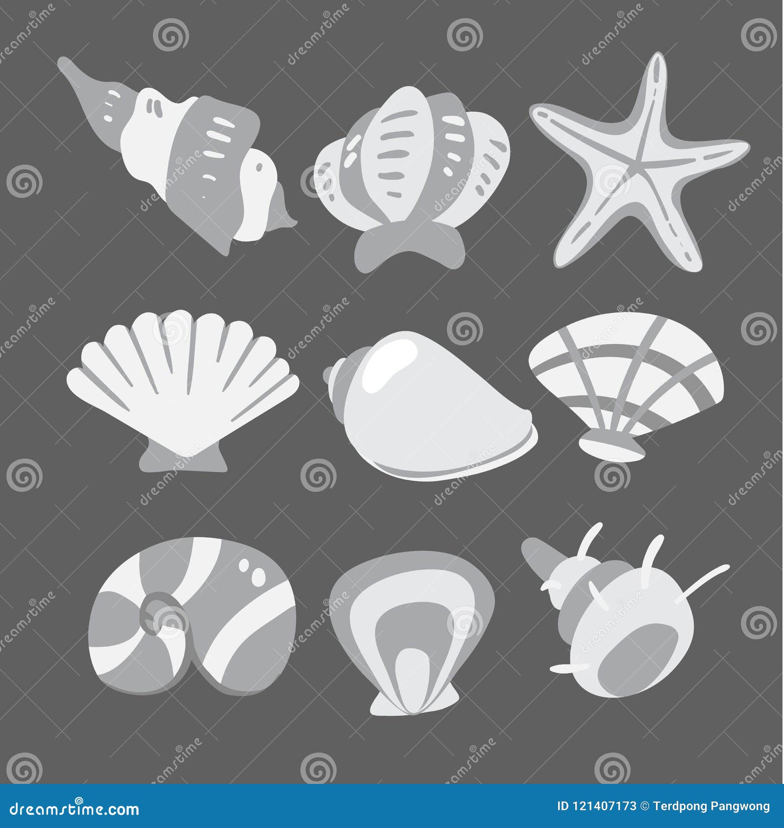 Shell Vector Collection Design Stock Illustration - Illustration of ...