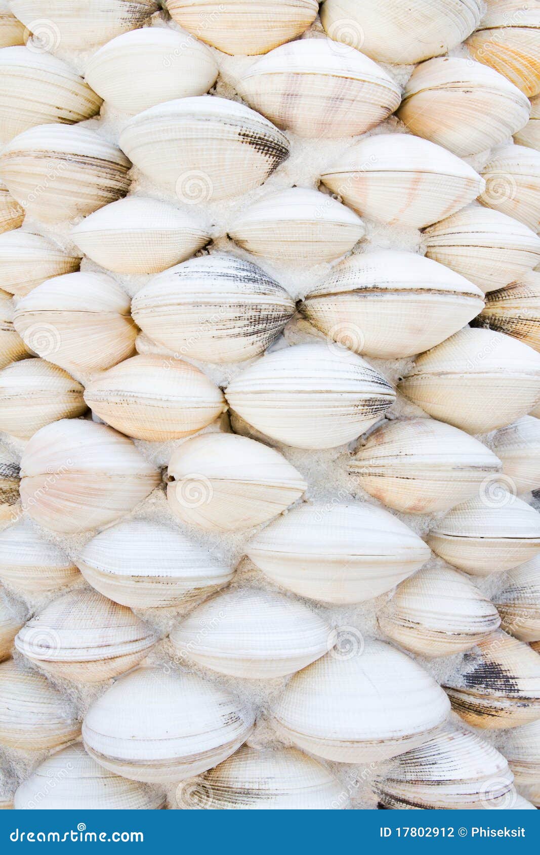 Shell wall stock photo. Image of house, build, abstract - 17802912