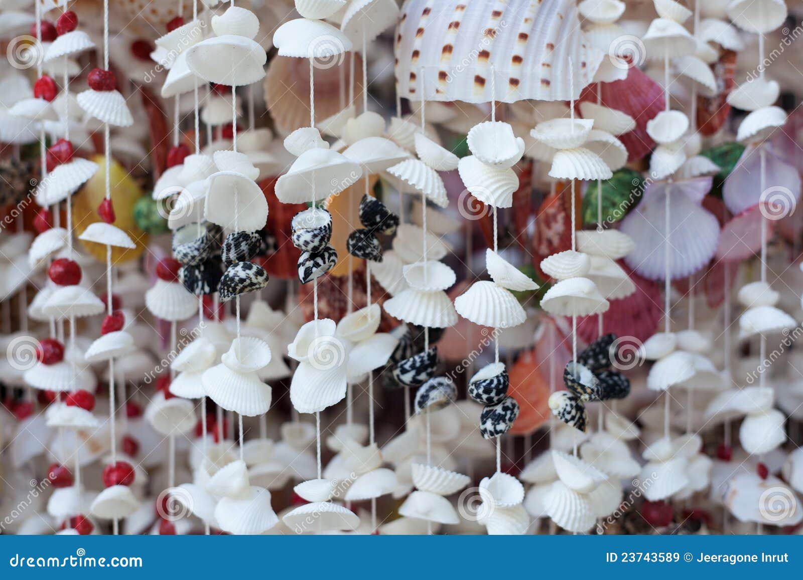 The shell wall stock image. Image of hanger, color, asia - 23743589