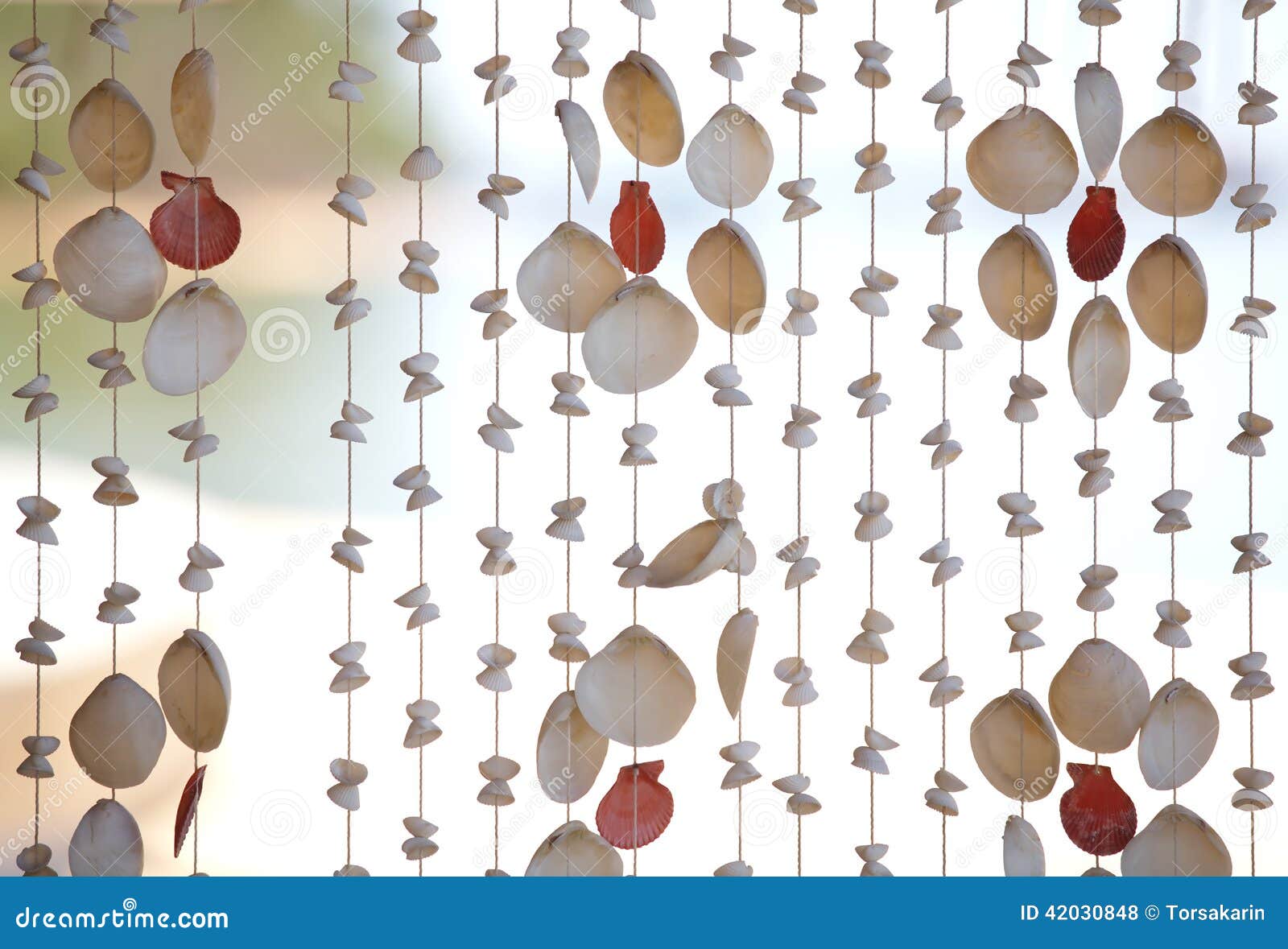 Shell wall stock photo. Image of home, finish, crafts - 42030848