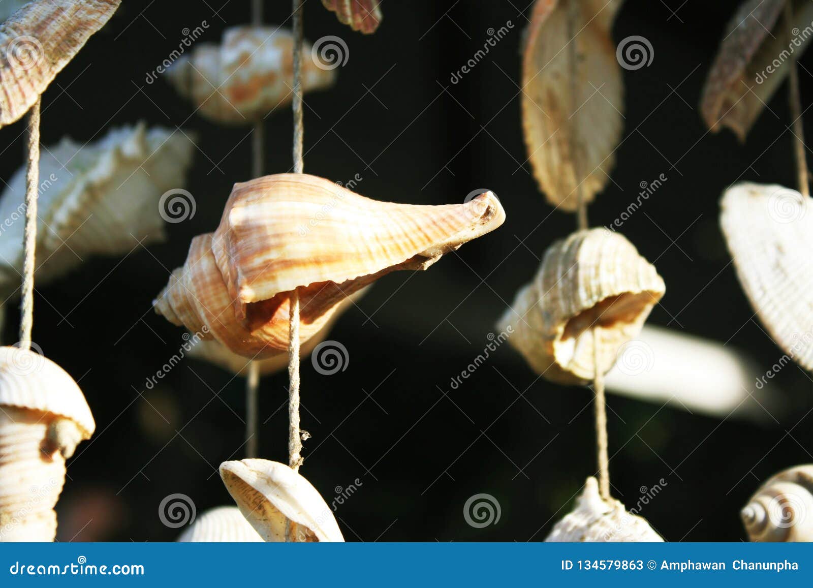 The Shell Wall Hanging Mobile Stock Image - Image of home, natural ...