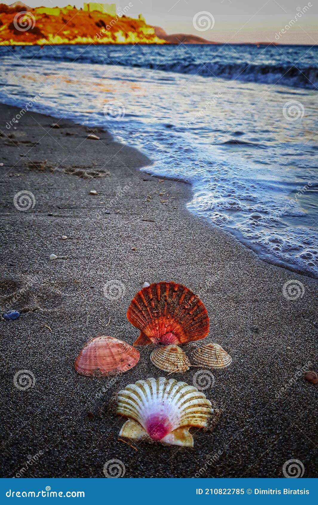 Shell Waves Beach Island Sunset Stock Image - Image of island, beach ...