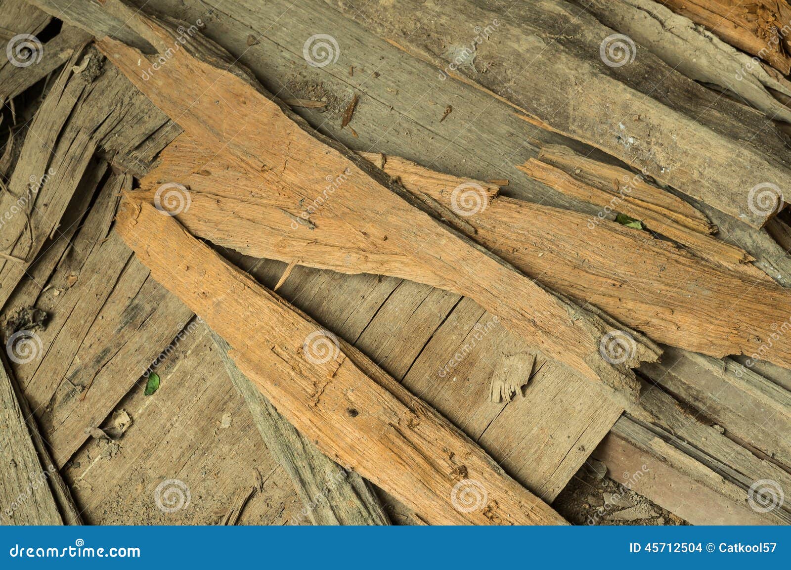 Shell of wood stock photo. Image of repair, texture, field - 45712504