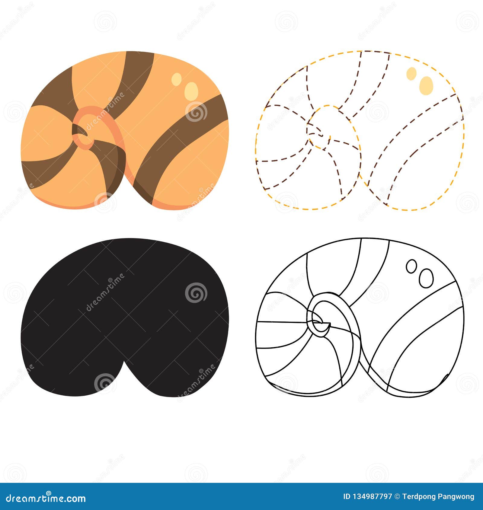 Shell Worksheet Vector Design Stock Vector - Illustration of exercise ...