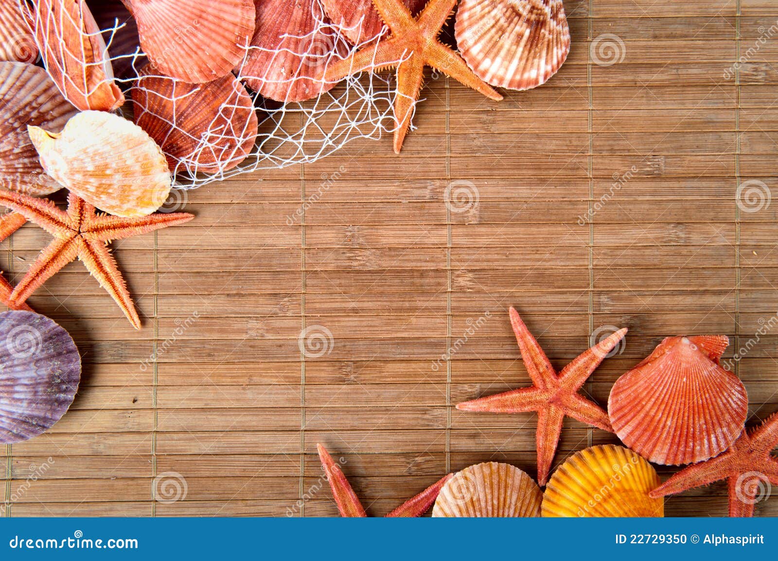 Shell Y Marco De Las Estrellas De Mar Foto de archivo - Imagen de ...