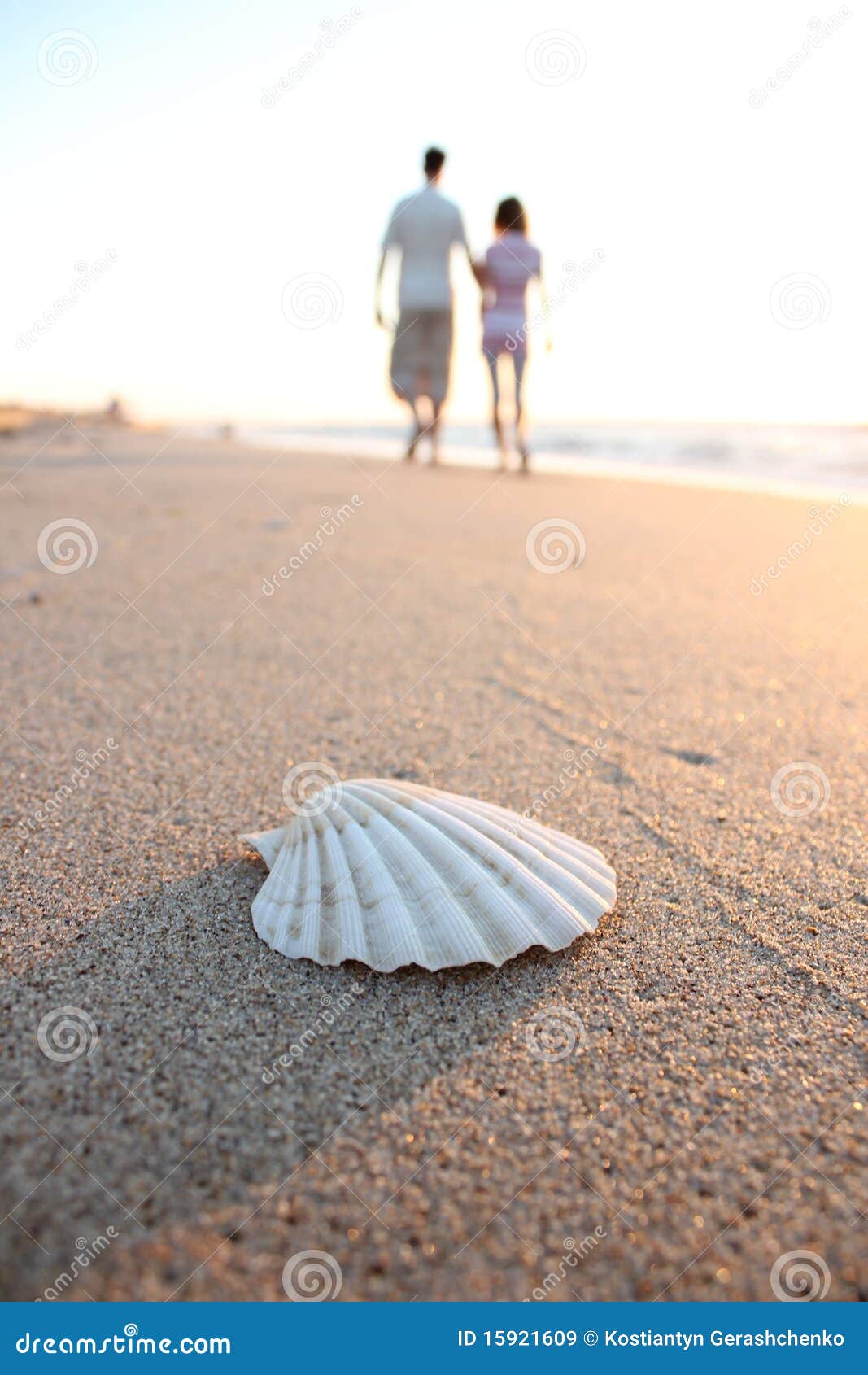 Shell y pares en amor imagen de archivo. Imagen de sensaciones - 15921609