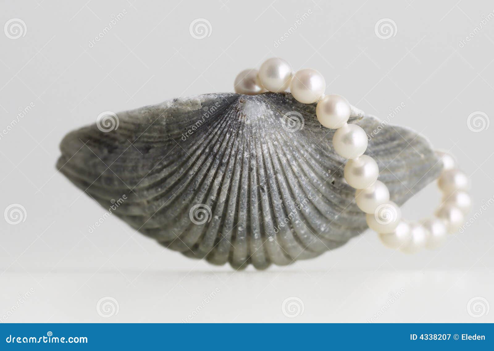 Shell y perla del mar imagen de archivo. Imagen de isla - 4338207