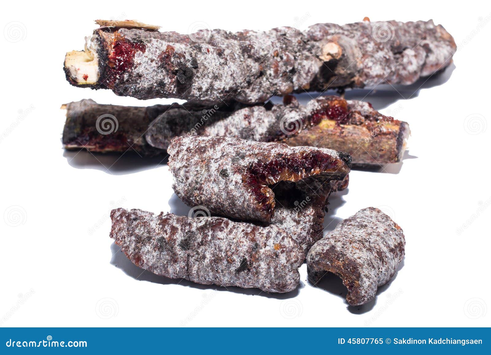 The shellac stock image. Image of small, animal, shellack - 45807765