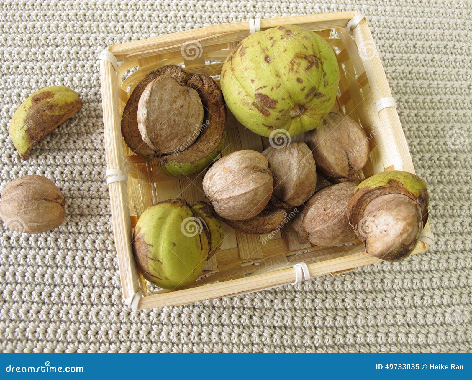 Shellbark Hickory Nuts in Basket Stock Image - Image of autumn ...
