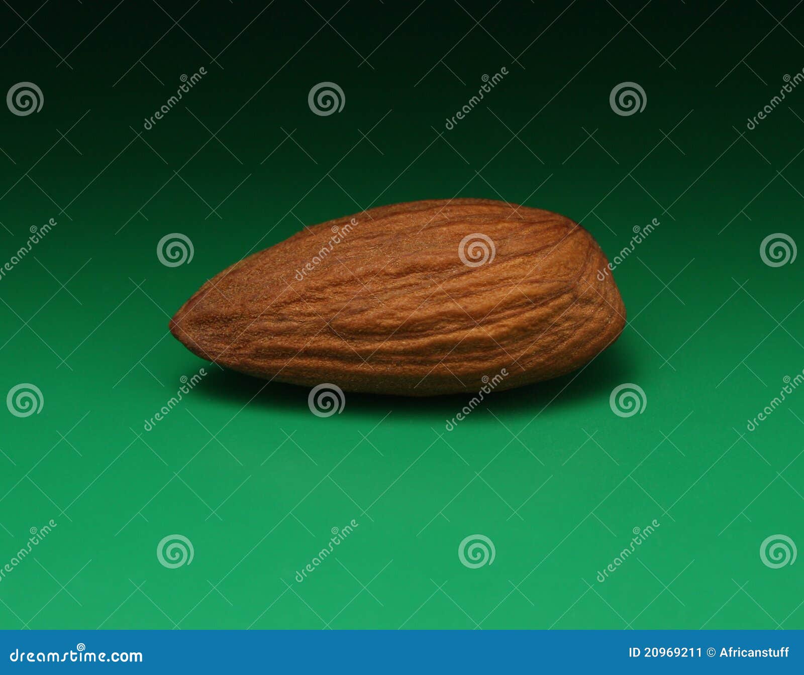 Shelled Almond stock image. Image of fiber, macro, healthy - 20969211
