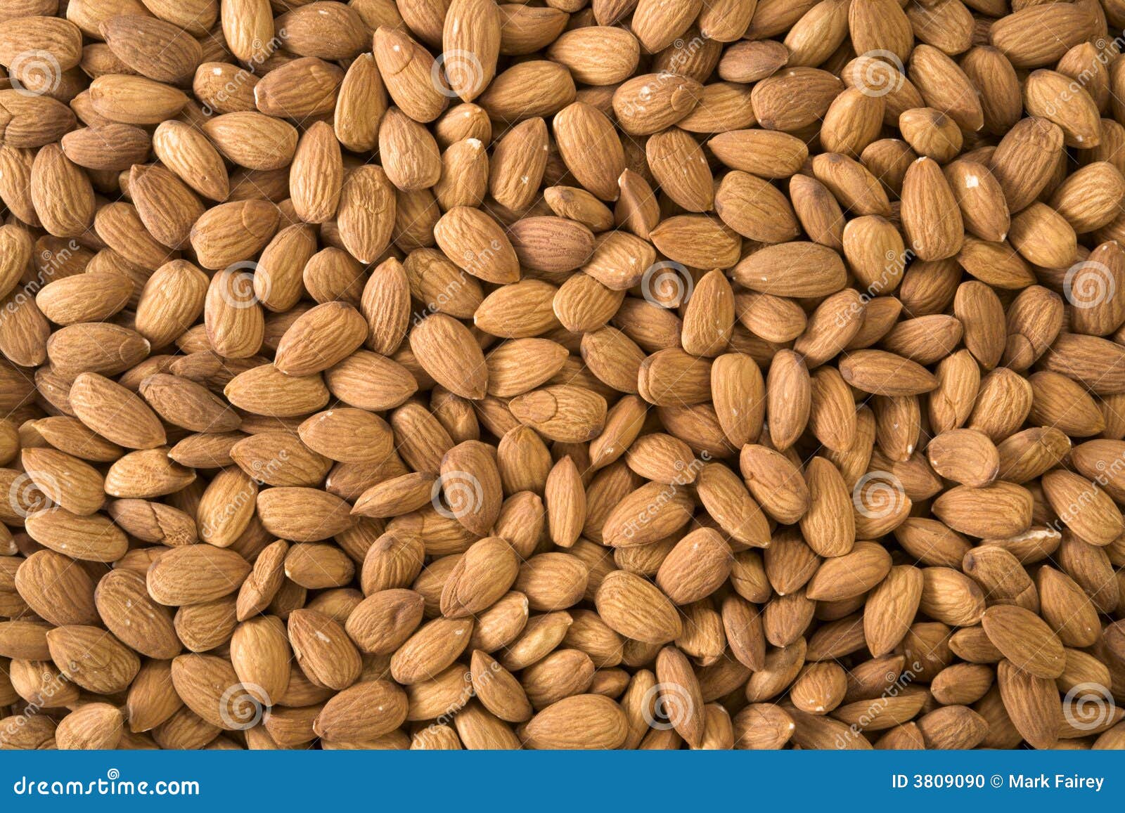 Shelled almonds stock photo. Image of food, eating, nuts - 3809090