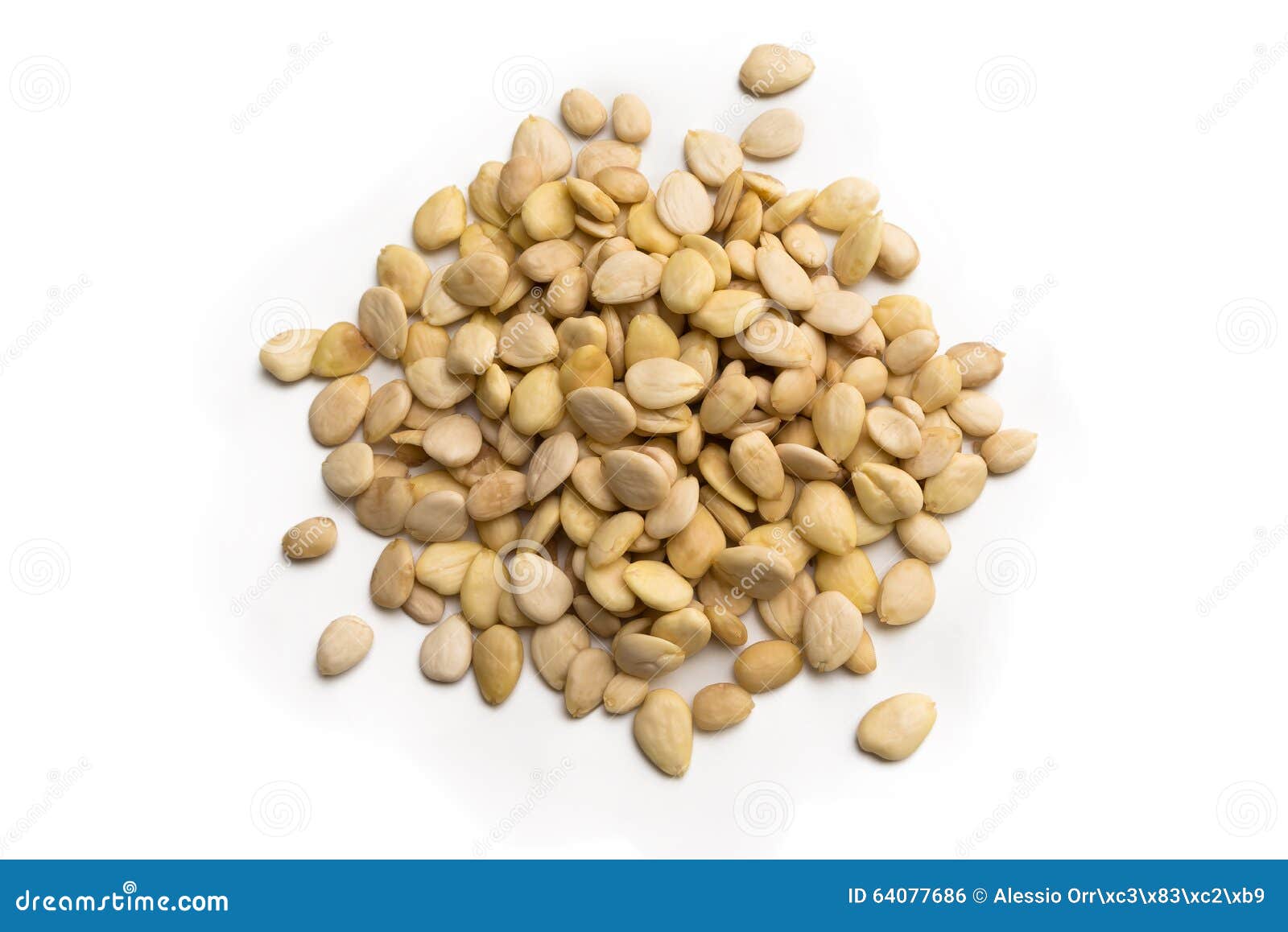 Shelled almonds stock photo. Image of healthy, vegan - 64077686