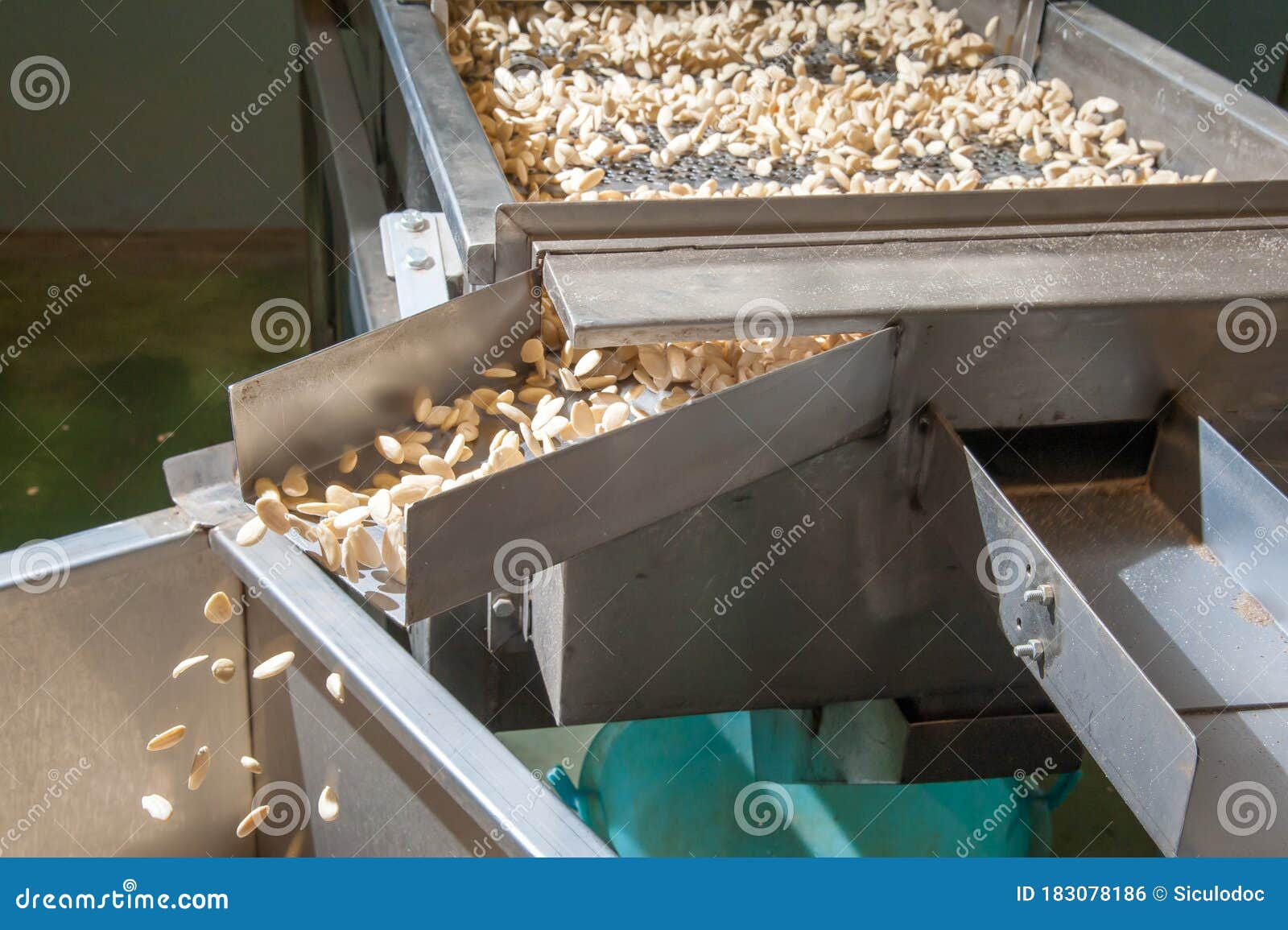The working of almonds stock photo. Image of peel, removing - 183078186