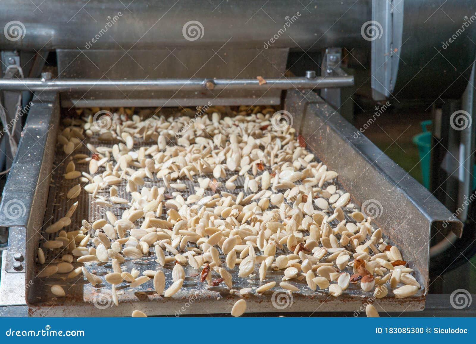 The working of almonds stock photo. Image of dehusking - 183085300