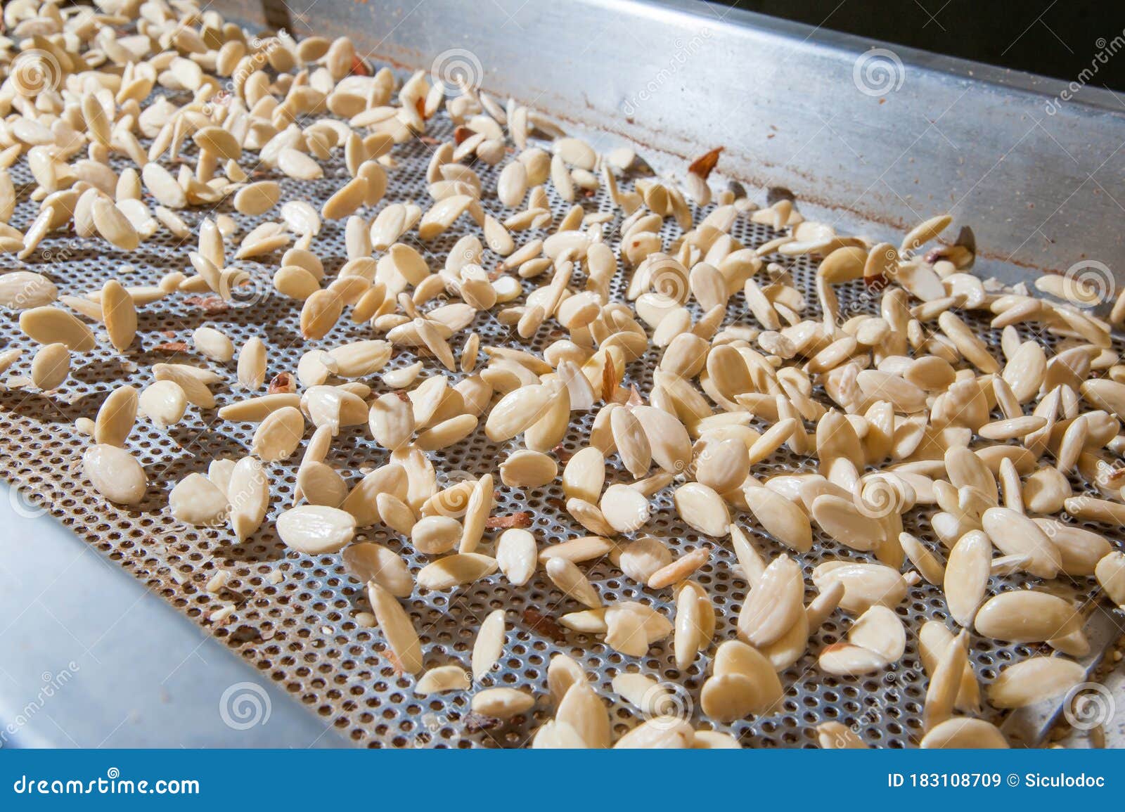 The working of almonds stock image. Image of characteristic - 183108709