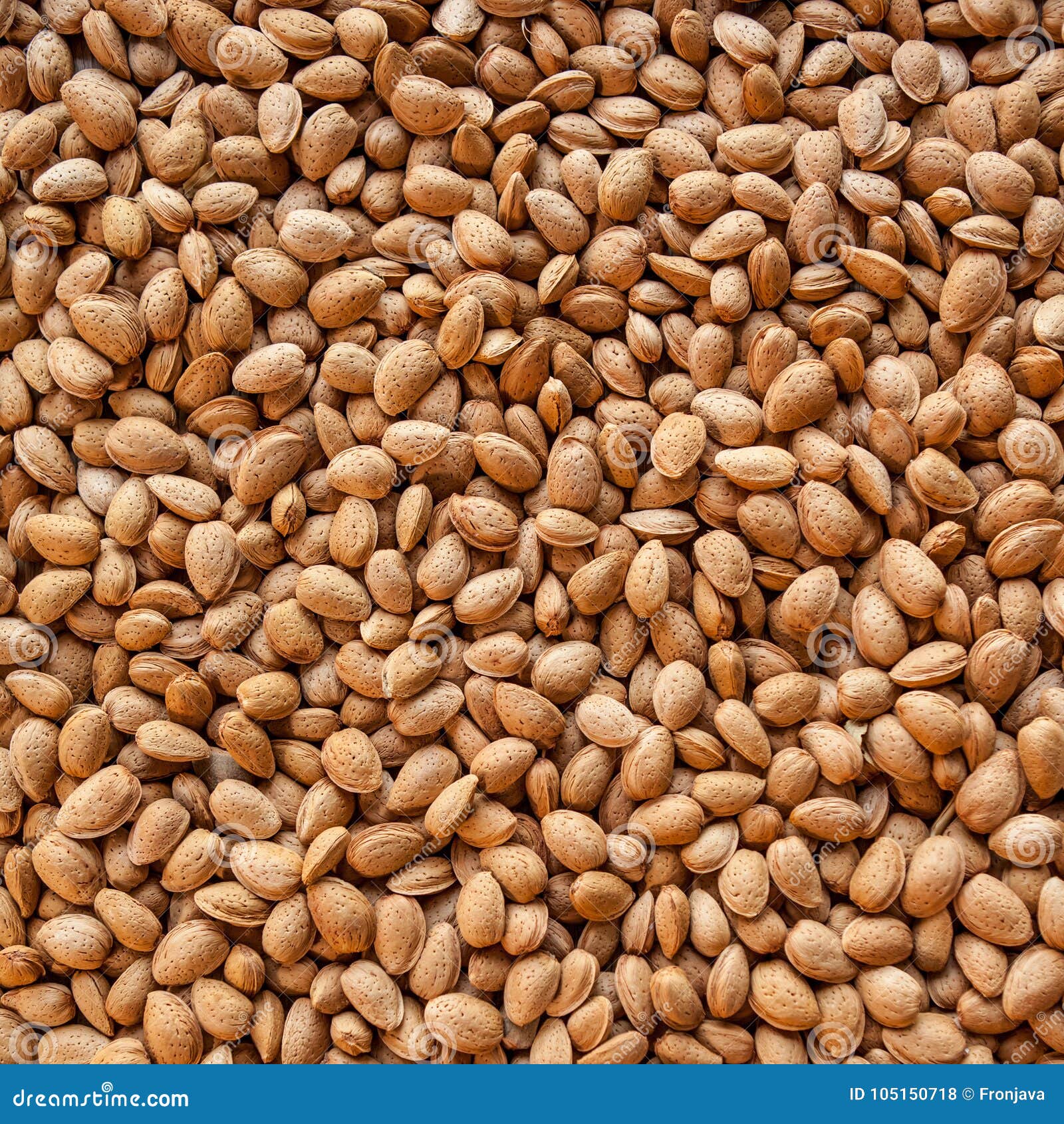 Shelled almonds stock photo. Image of almond, shell - 105150718