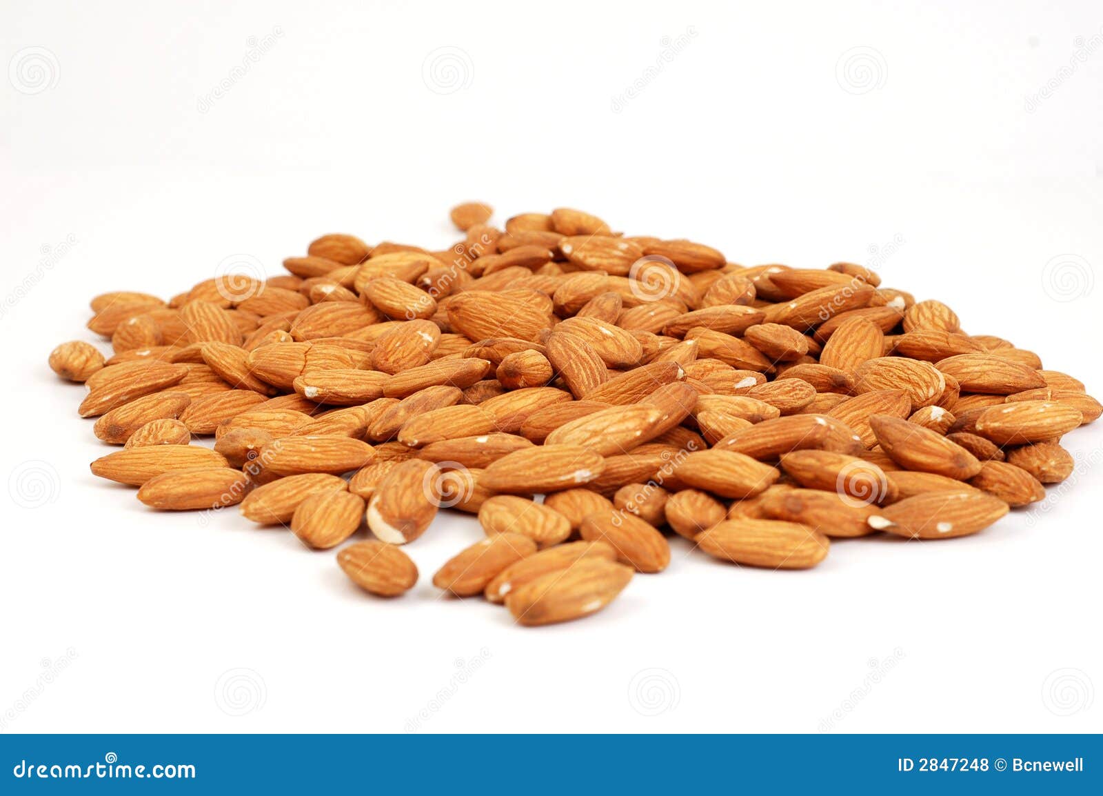 Shelled Almonds on White stock photo. Image of protein - 2847248