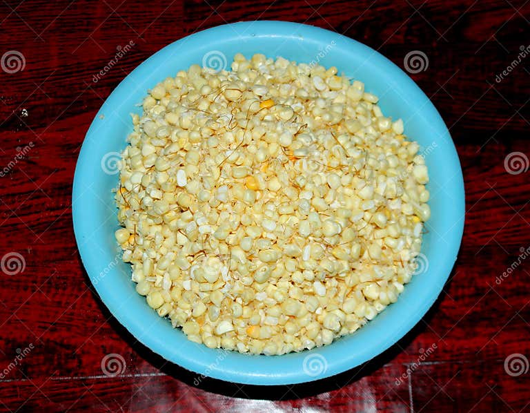 Shelled corn kernels stock image. Image of plate, horizontal - 295211987