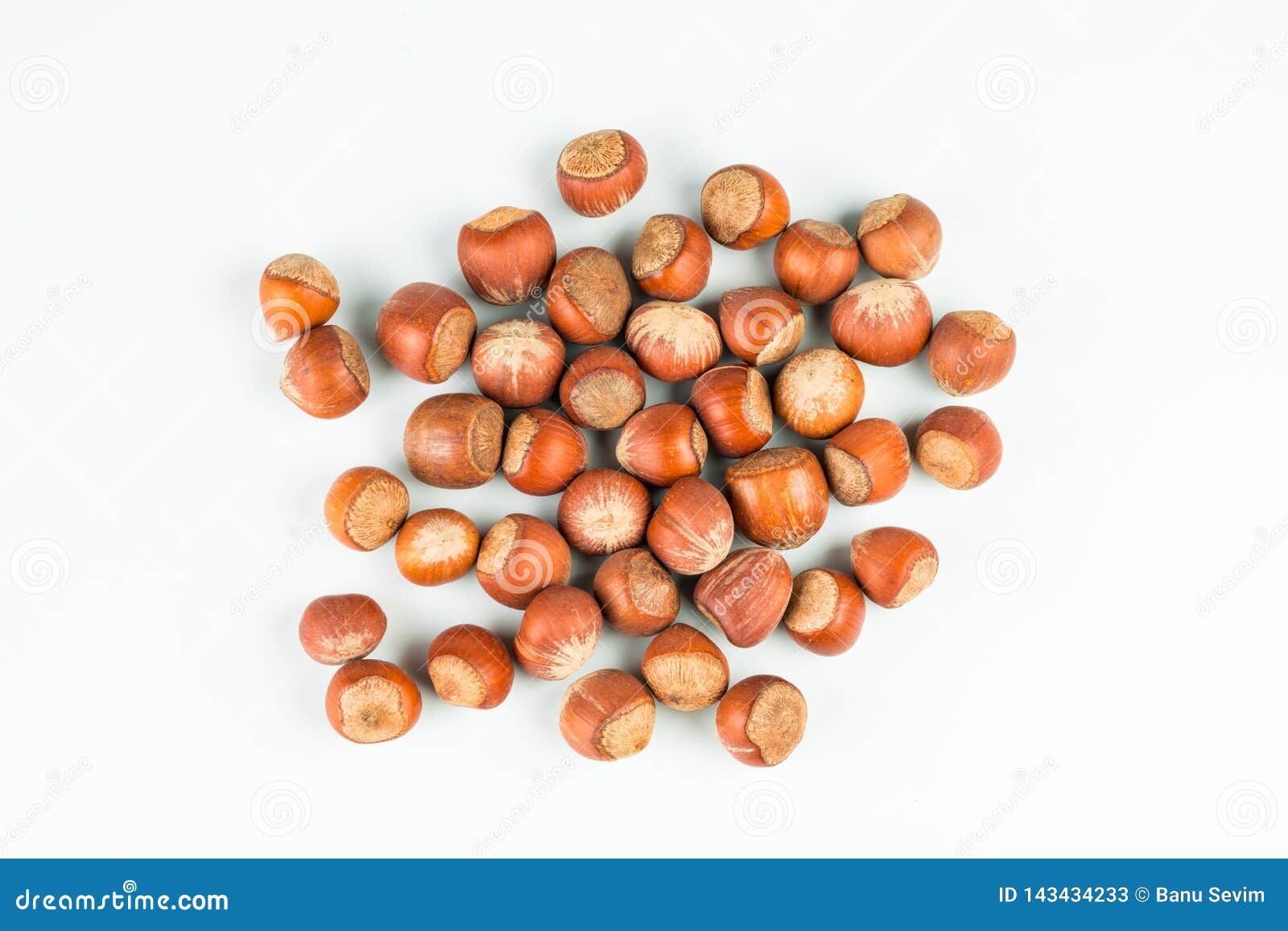 Shelled hazel nuts stock image. Image of hard, background - 143434233