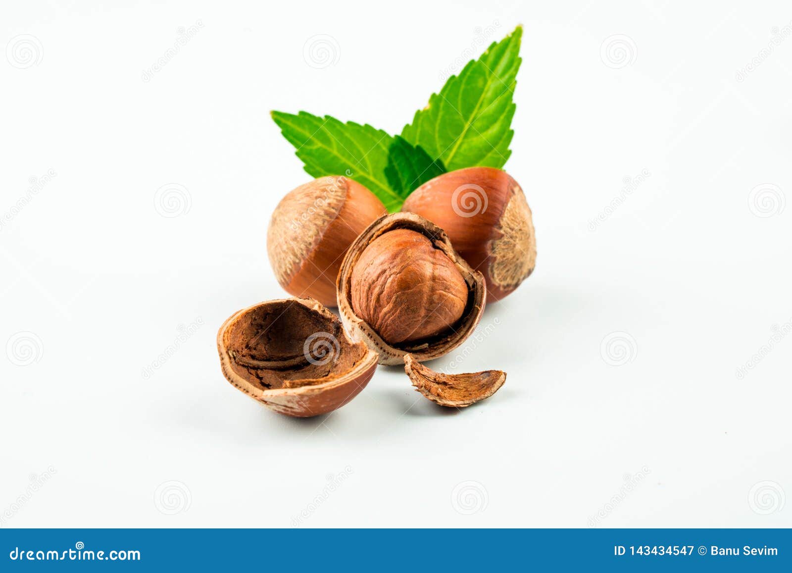 Shelled hazel nuts stock image. Image of brown, cobnuts - 143434547